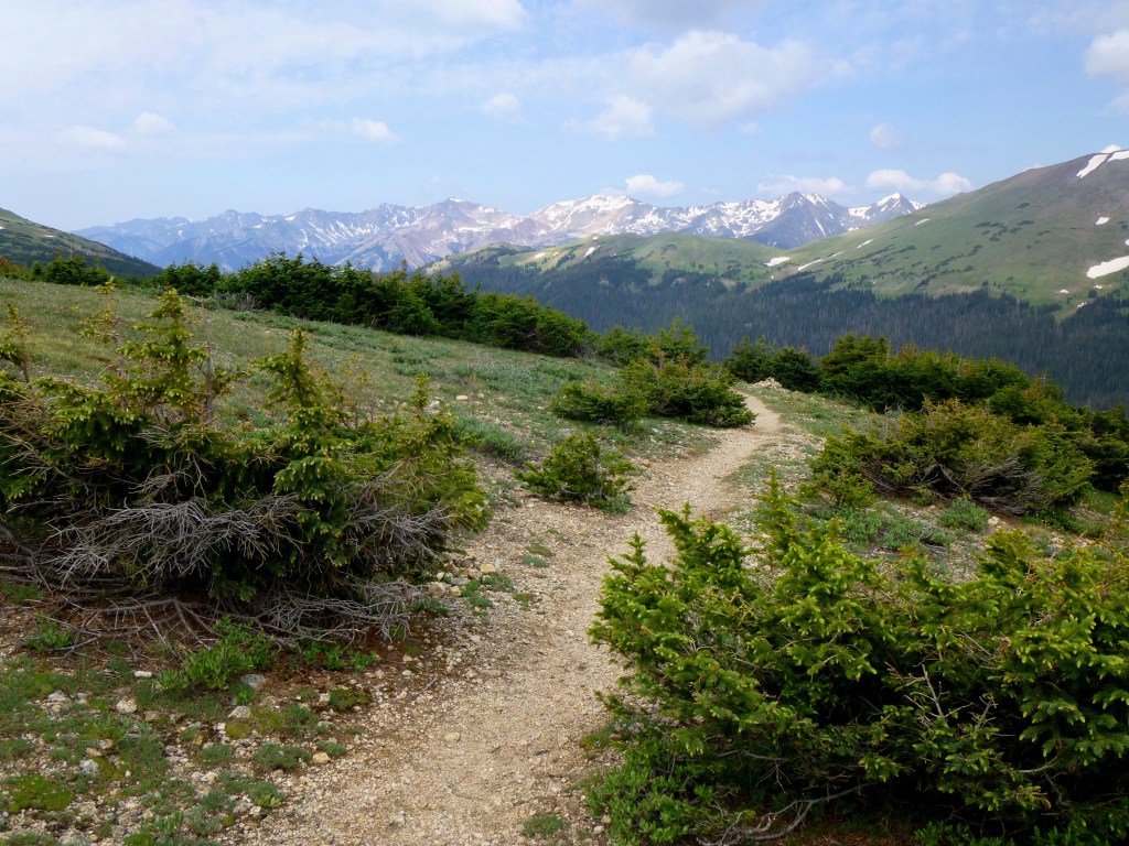 Ute Trail – Alpine Visitor Center to Milner Pass (Rocky Mountain ...