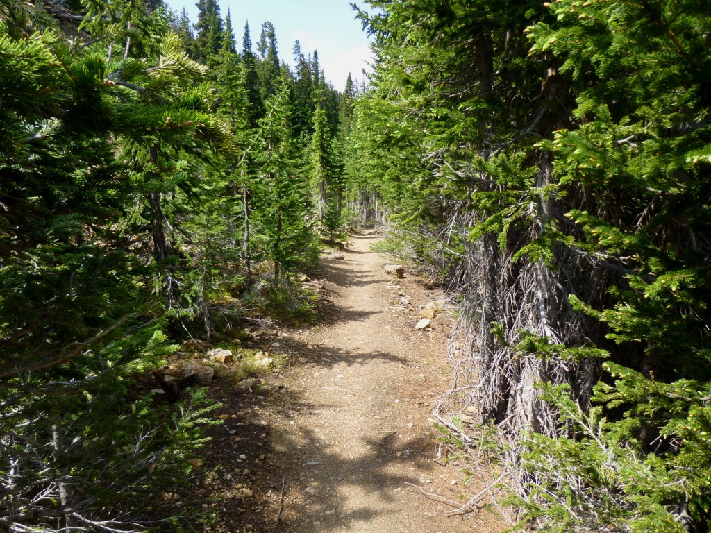 Ute Trail – Alpine Visitor Center to Milner Pass (Rocky Mountain ...