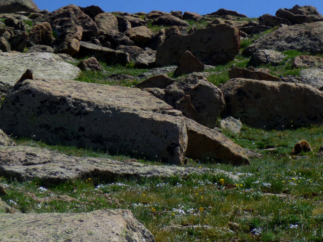 Ute Trail – Tombstone Ridge & Timberline Pass (Rocky Mountain National ...