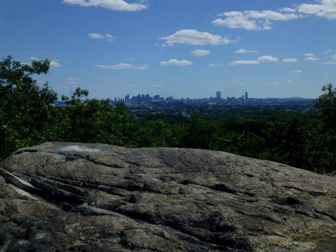 Rock Circuit Trail (Middlesex Fells Reservation, MA) – Live and Let Hike
