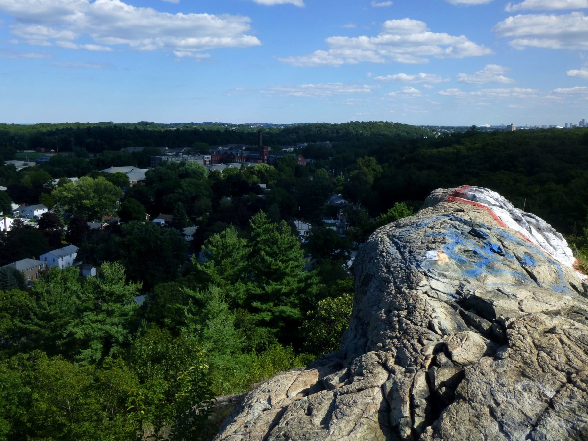 Rock Circuit Trail (Middlesex Fells Reservation, MA) – Live and Let Hike