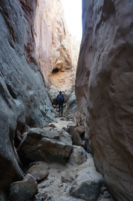 Headquarters Canyon (Capitol Reef National Park, UT) – Live and Let Hike
