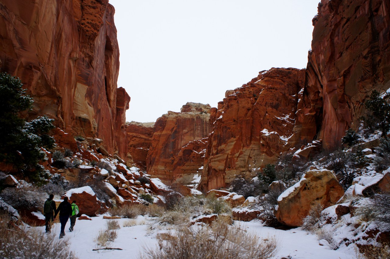 Lower Spring Canyon (Capitol Reef National Park, UT) – Live and Let Hike