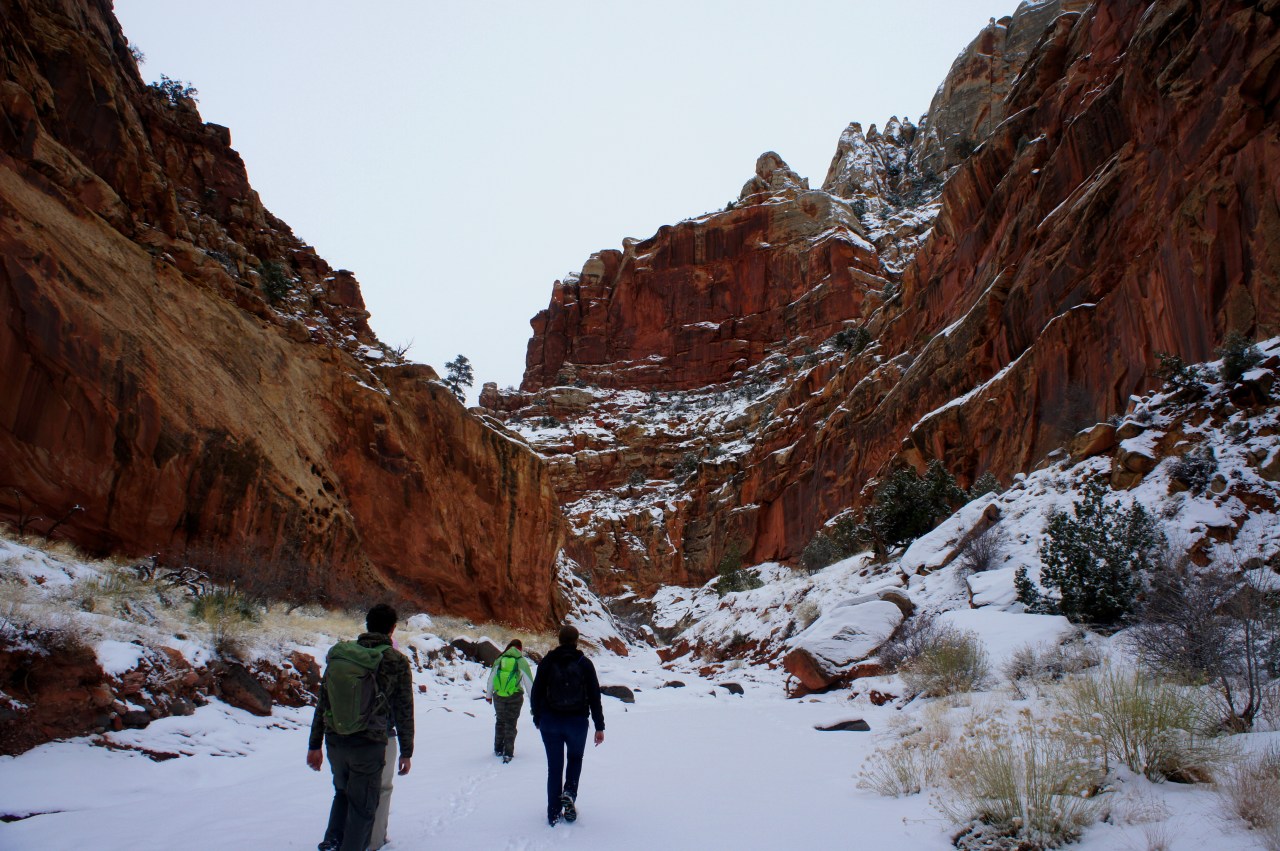 Lower Spring Canyon (Capitol Reef National Park, UT) – Live and Let Hike