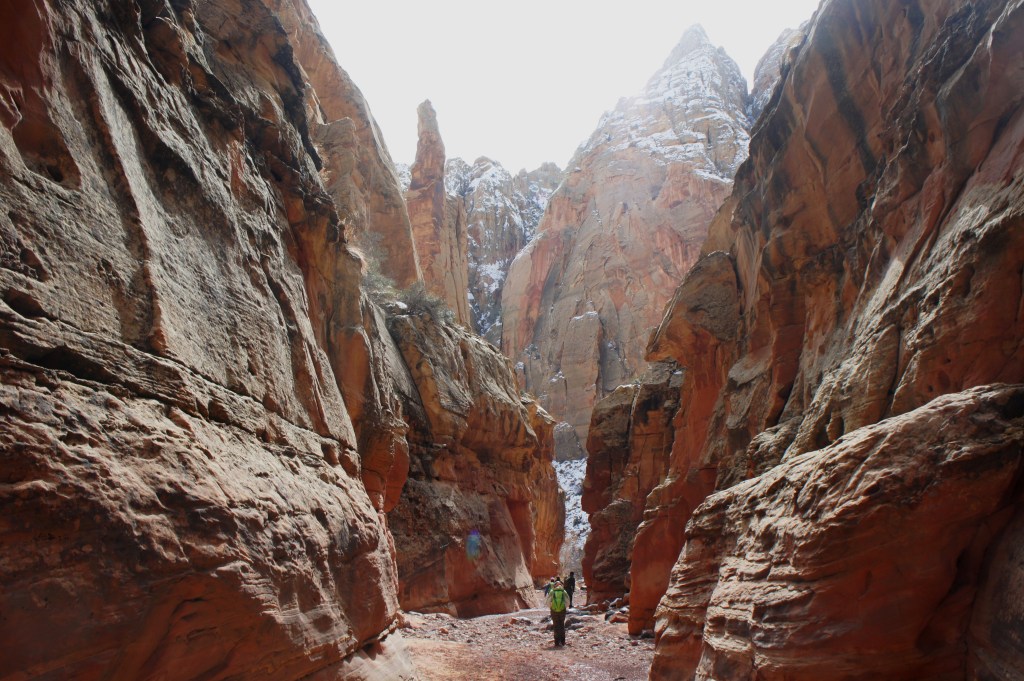 Lower Spring Canyon (Capitol Reef National Park, UT) – Live and Let Hike