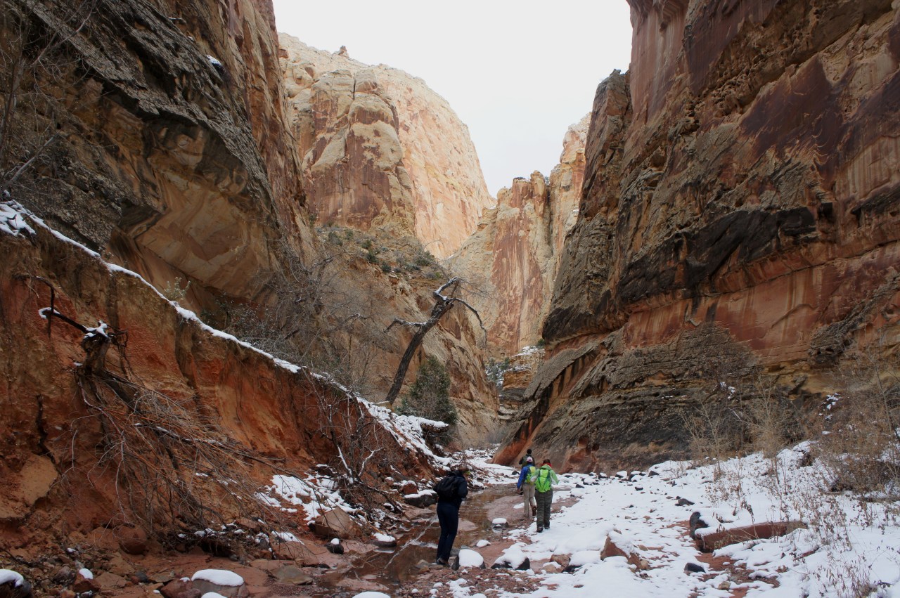 Lower Spring Canyon (Capitol Reef National Park, UT) – Live and Let Hike