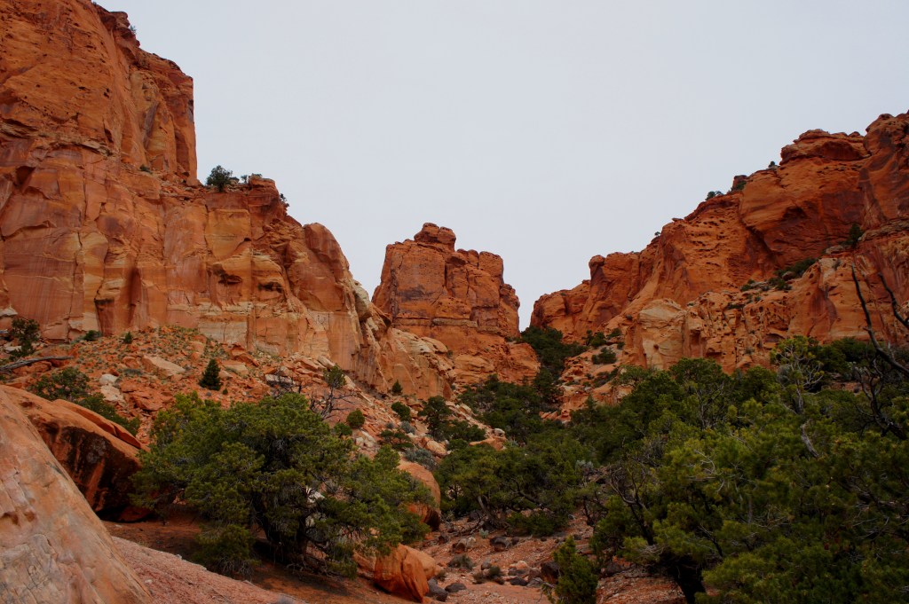 Upper Spring Canyon (Capitol Reef National Park, UT) – Live and Let Hike