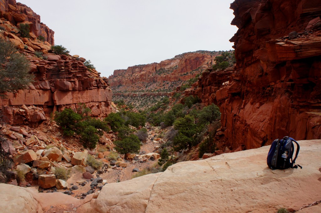 Upper Spring Canyon (Capitol Reef National Park, UT) – Live and Let Hike
