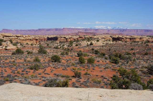 Confluence Overlook Trail (Canyonlands National Park, UT) – Live and ...
