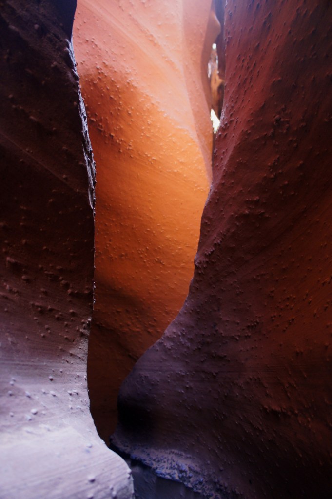 Peekaboo Gulch and Spooky Gulch Loop (Grand Staircase-Escalante ...