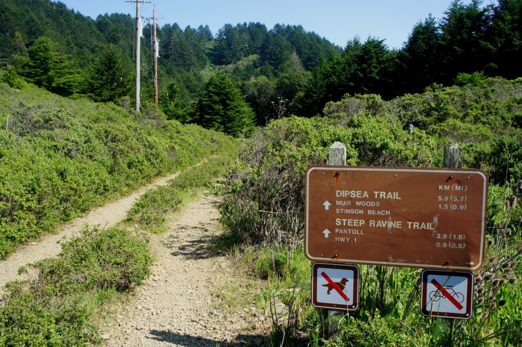 Dipsea Trail – Steep Ravine Trail Loop (Mount Tamalpais State Park, CA ...