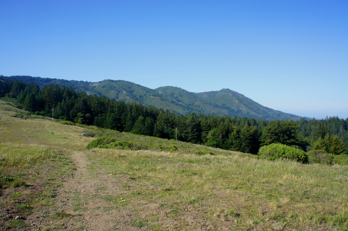 Dipsea Trail – Steep Ravine Trail Loop (Mount Tamalpais State Park, CA ...