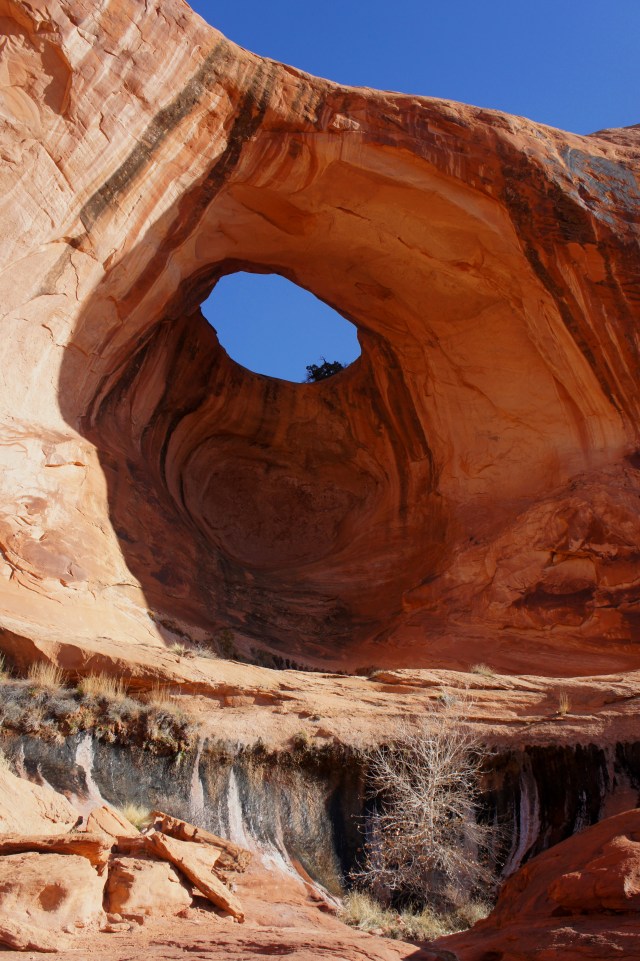 Corona Arch Trail, including Bowtie Arch and Pinto Arch (Moab area, UT ...
