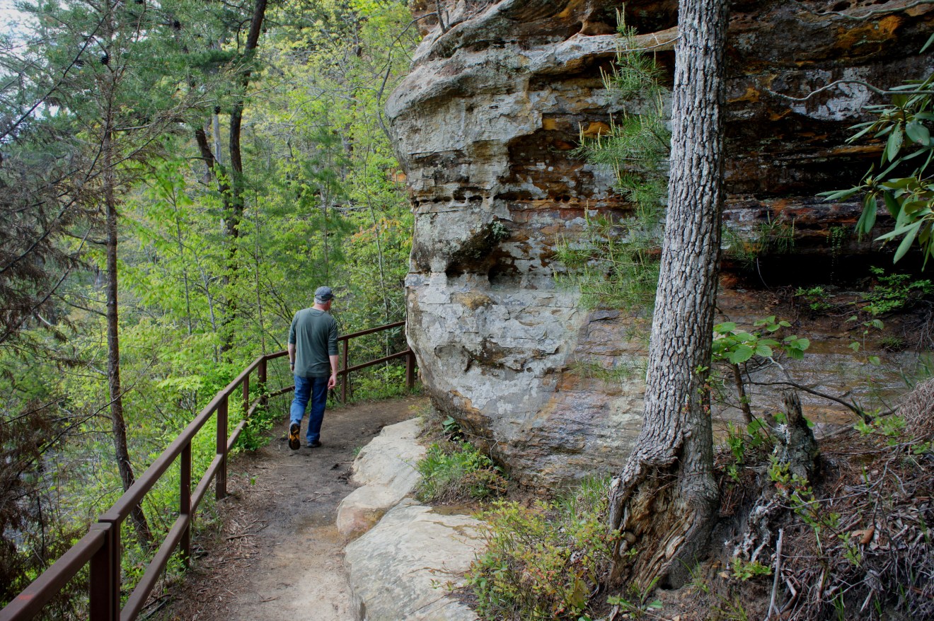 Sky Bridge Loop Trail (Red River Gorge Geological Area, KY) – Live and ...