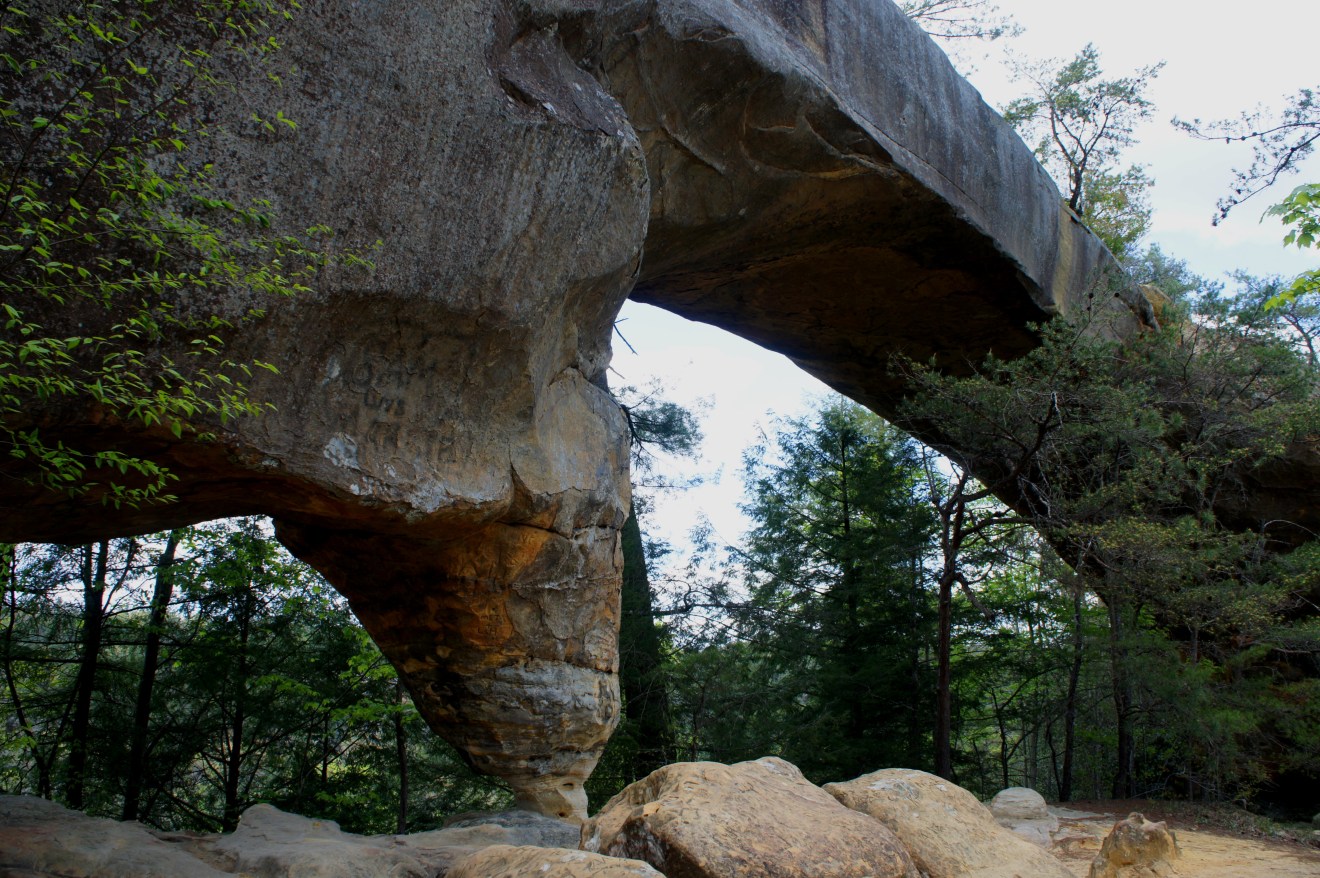 Sky Bridge Loop Trail (Red River Gorge Geological Area, KY) – Live and ...