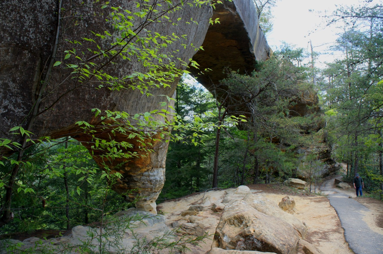 Sky Bridge Loop Trail (Red River Gorge Geological Area, KY) – Live and ...