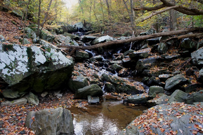 Dead Run Loop (Turkey Run Park, VA) – Live and Let Hike