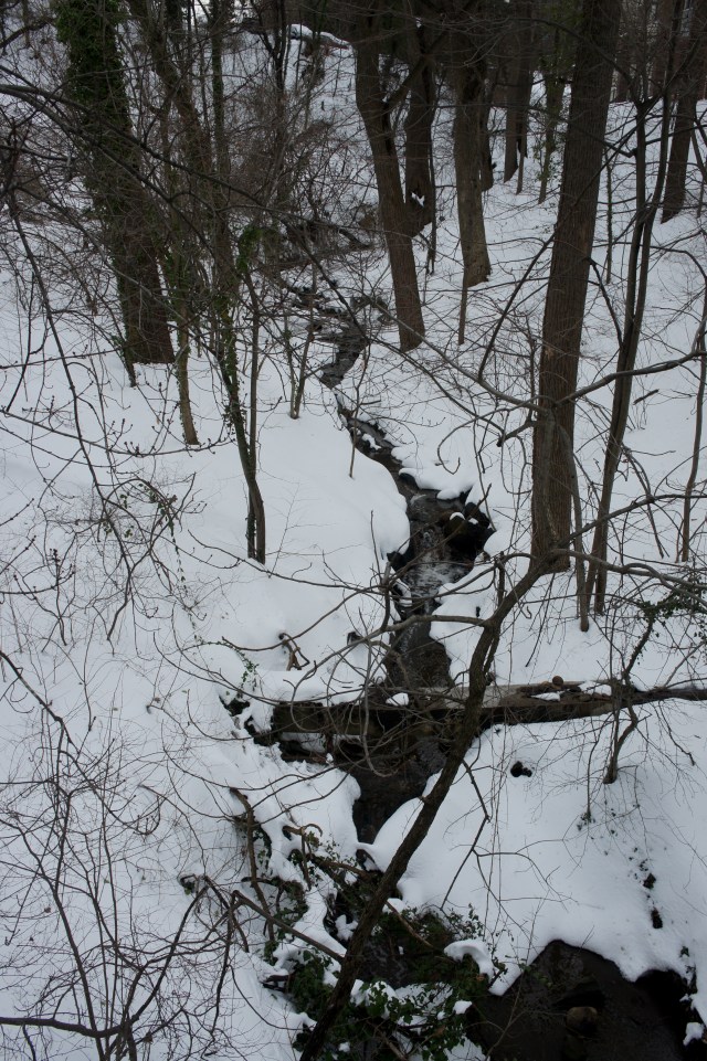 Custis Trail (Arlington, VA) – Live and Let Hike