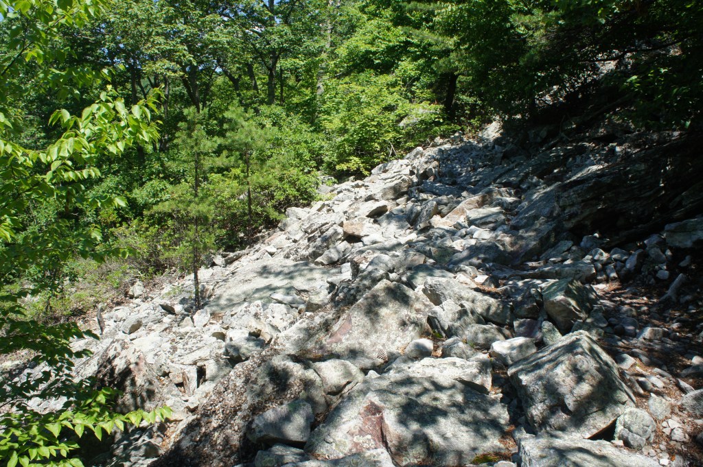 Signal Knob Loop (George Washington National Forest, VA) – Live and Let ...