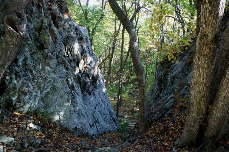 Appalachian Trail to Compton Peak (Shenandoah National Park, VA) – Live ...