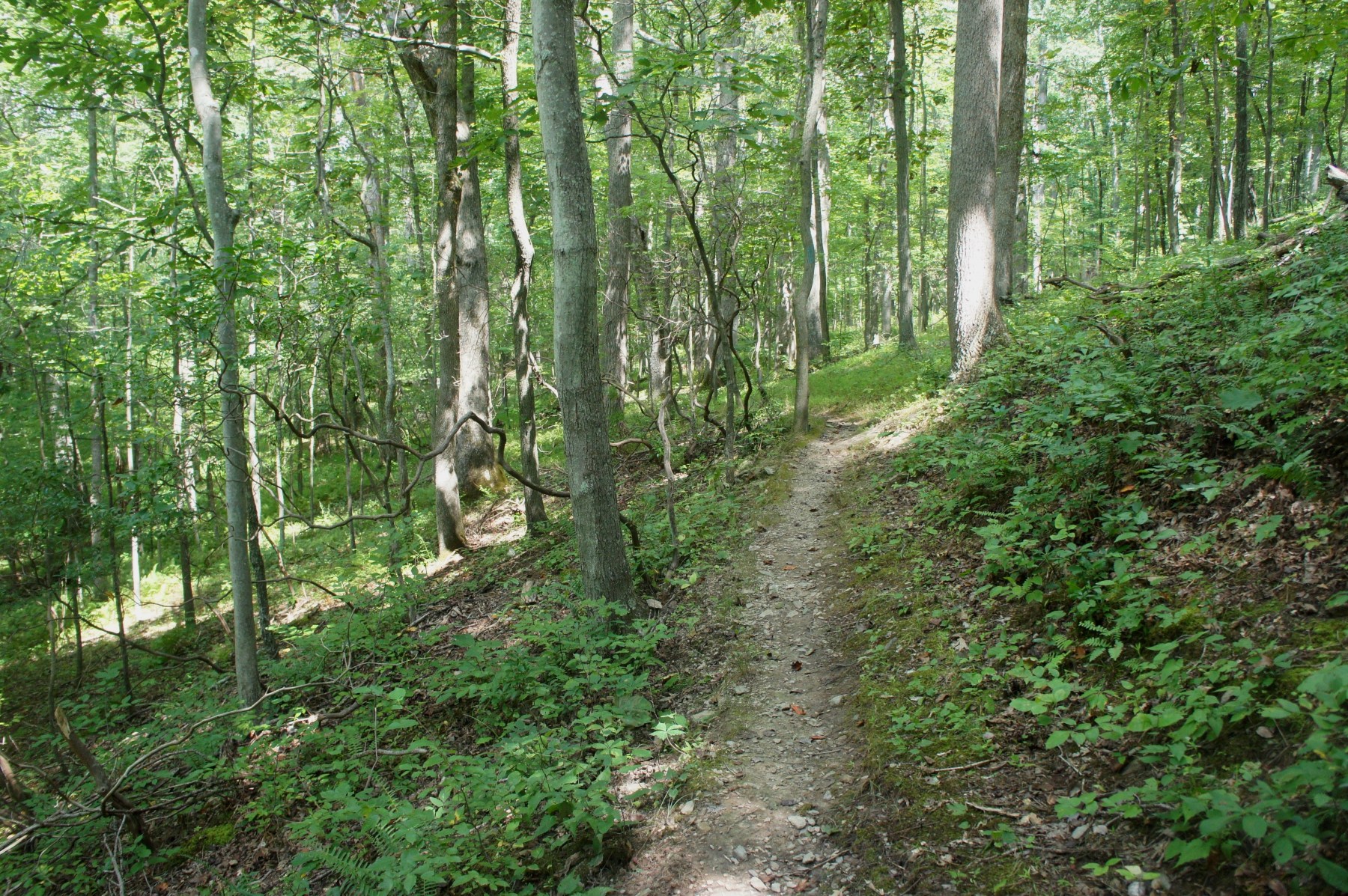 Seneca Greenway – Seneca Bluffs Trail Loop (Seneca Creek State Park, MD ...