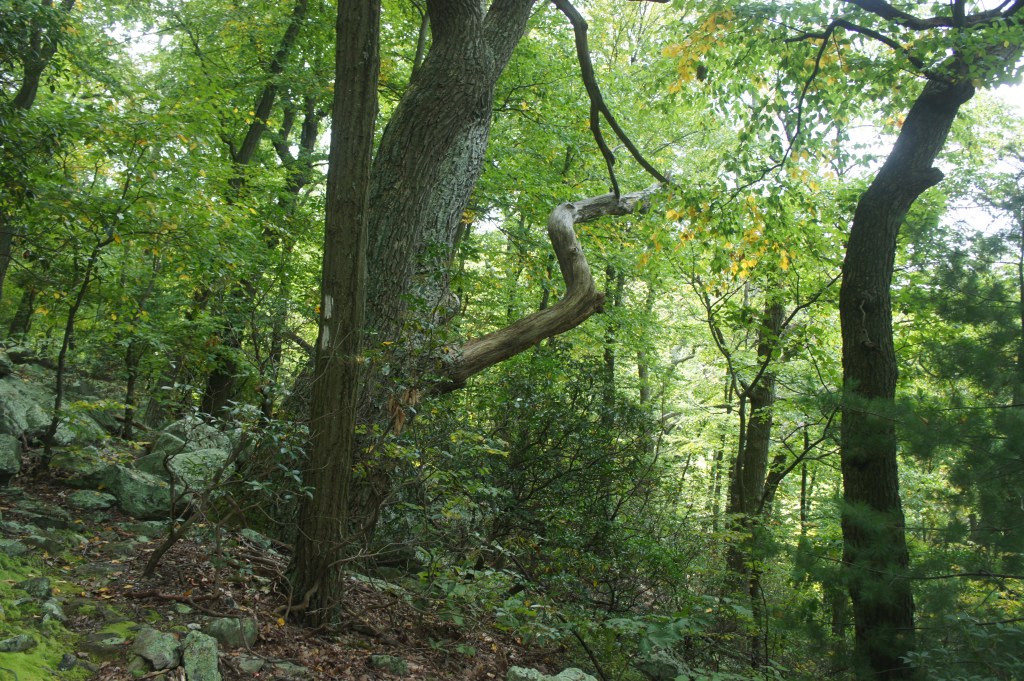 Appalachian Trail – Maryland Section 1: Pen Mar to Raven Rock Hollow ...