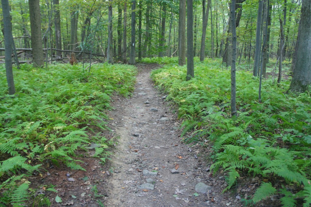 Appalachian Trail – Maryland Section 1: Pen Mar to Raven Rock Hollow ...
