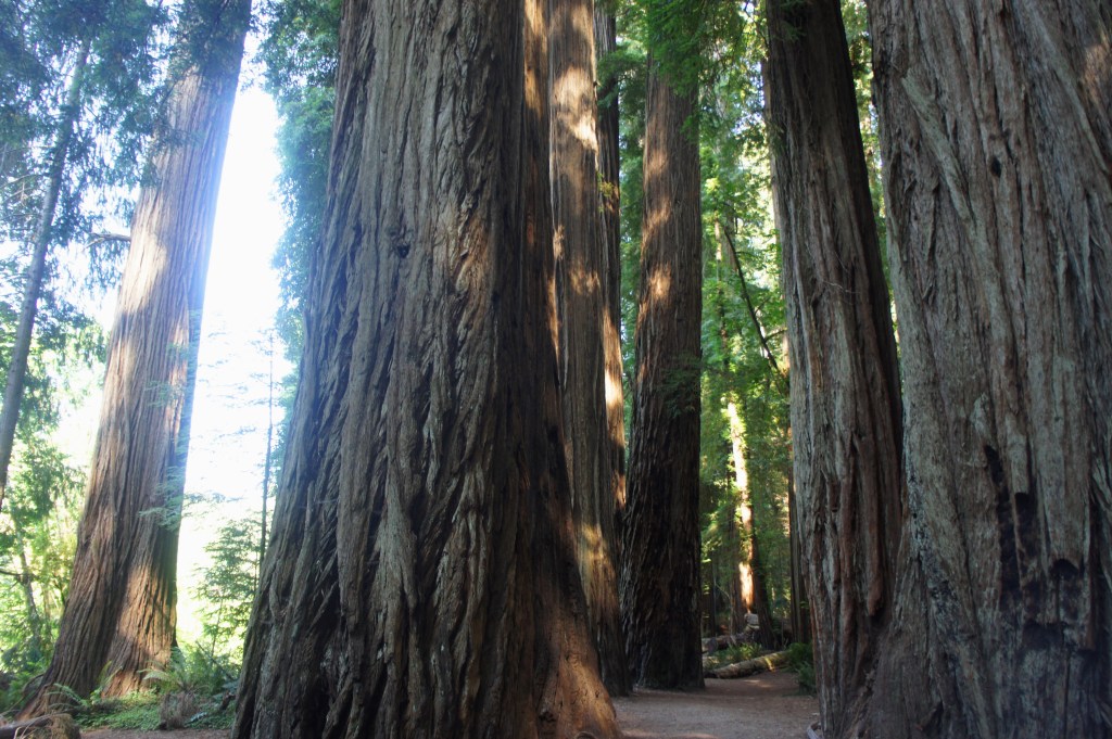 Top 10 Hikes in 2017 – Live and Let Hike