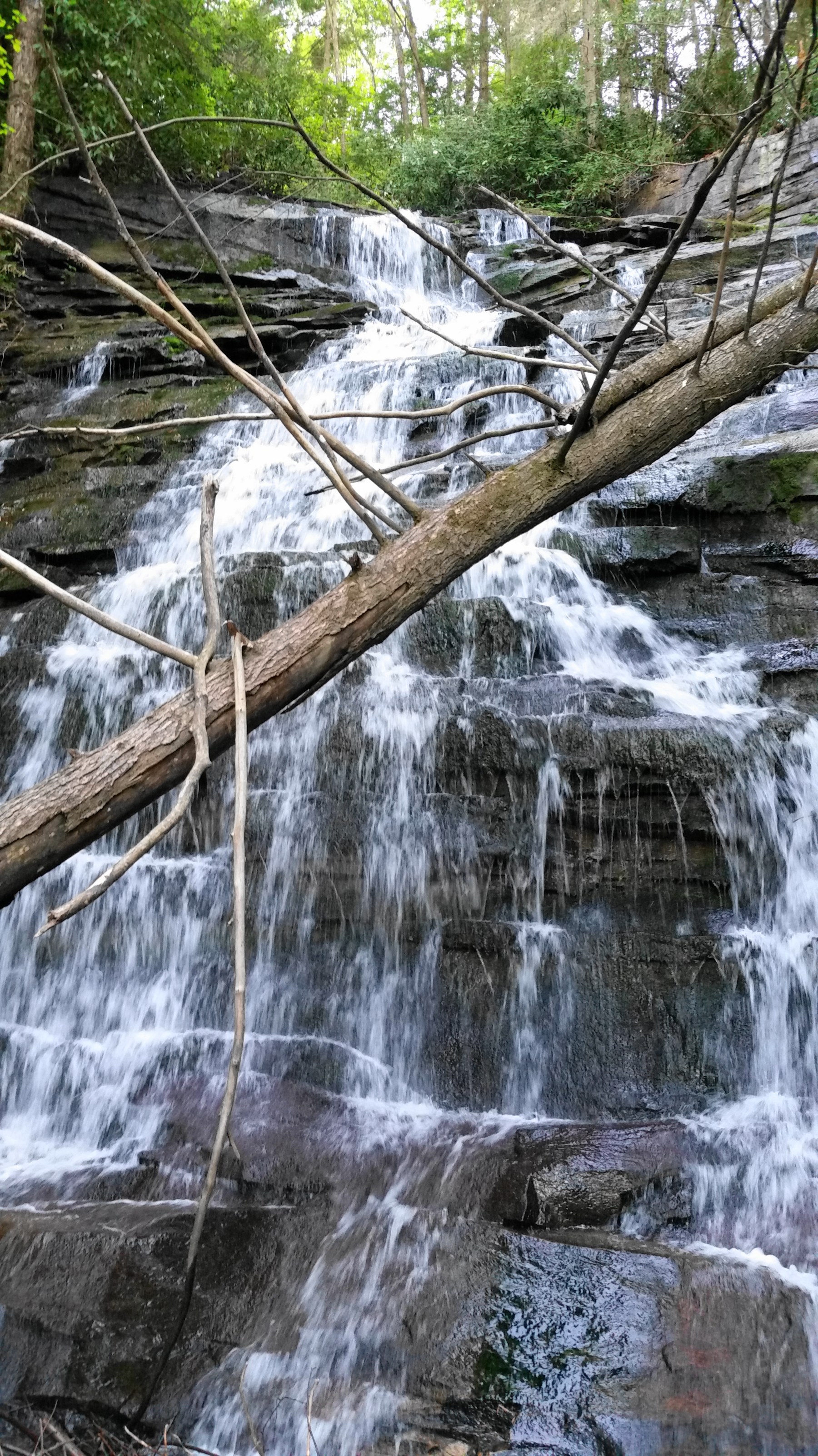 Butcher Branch Falls (New River Gorge National River, WV) – Live and ...