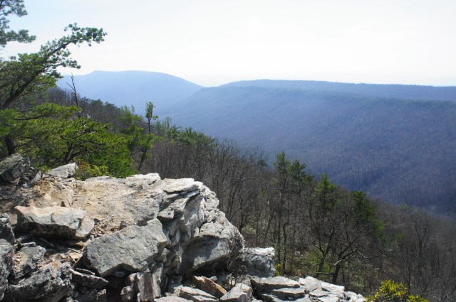 Waterfall Mountain – Live and Let Hike