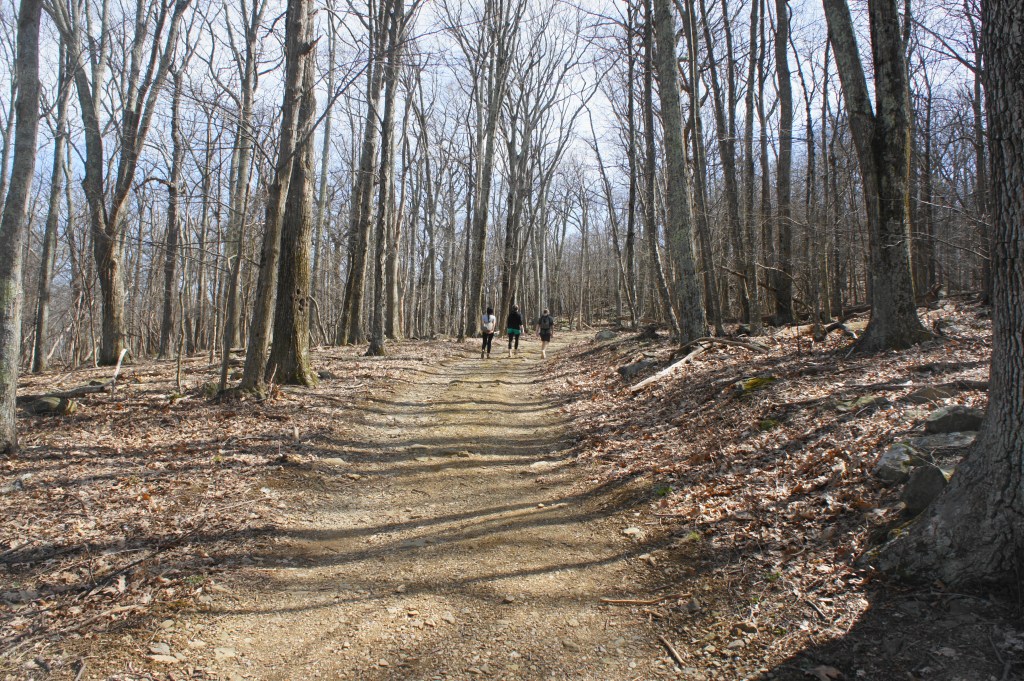 Whiteoak Canyon – Cedar Run Trail Loop (Shenandoah National Park, VA ...