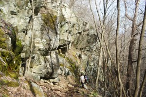 Whiteoak Canyon – Cedar Run Trail Loop (Shenandoah National Park, VA ...