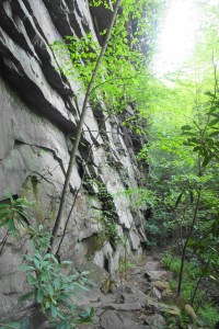 Butcher Branch Falls (New River Gorge National River, WV) – Live and ...