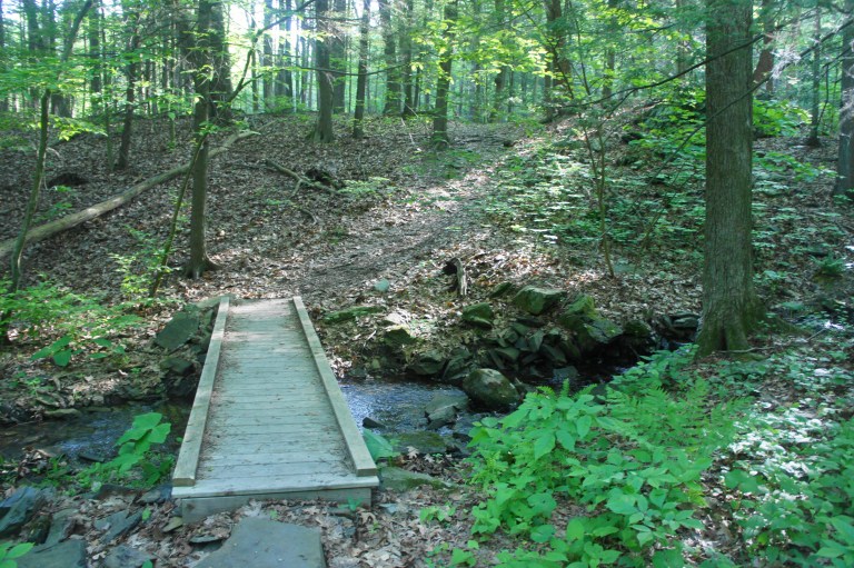 Top Cottage Trail (Eleanor Roosevelt National Historic Site, NY) – Live ...