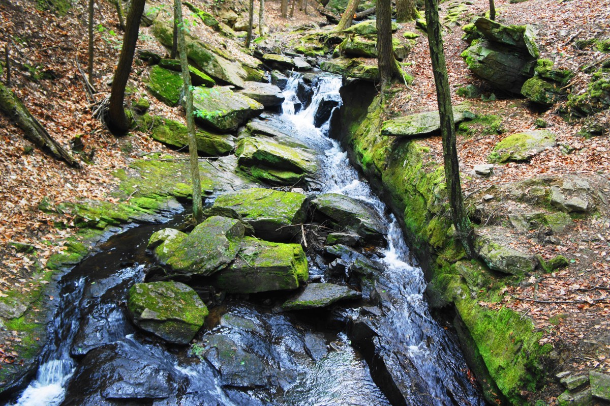 Chesterfield Gorge Trail (Chesterfield Gorge Natural Area, NH) – Live ...
