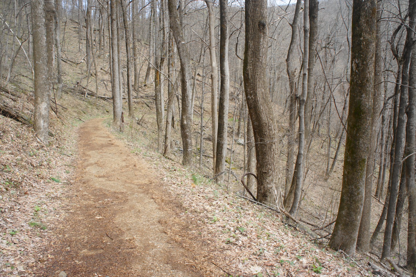 South River Falls Loop (Shenandoah National Park, VA) – Live and Let Hike