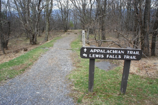 Lewis Falls Trail Loop (Shenandoah National Park, VA) – Live and Let Hike