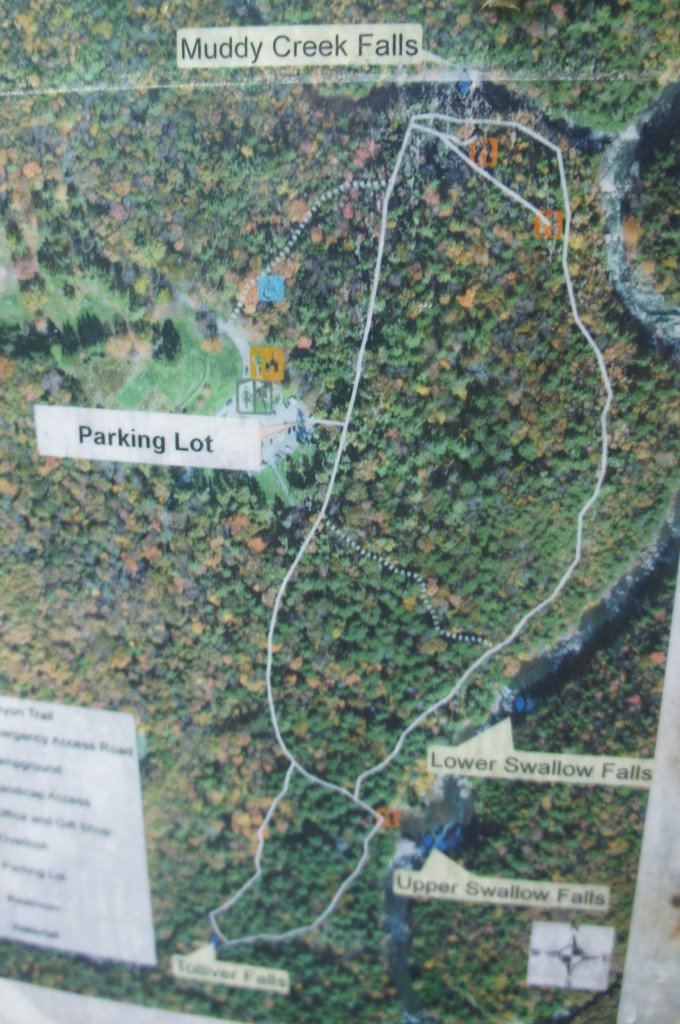 Swallow Falls Canyon Trail (Swallow Falls State Park, MD) – Live and ...