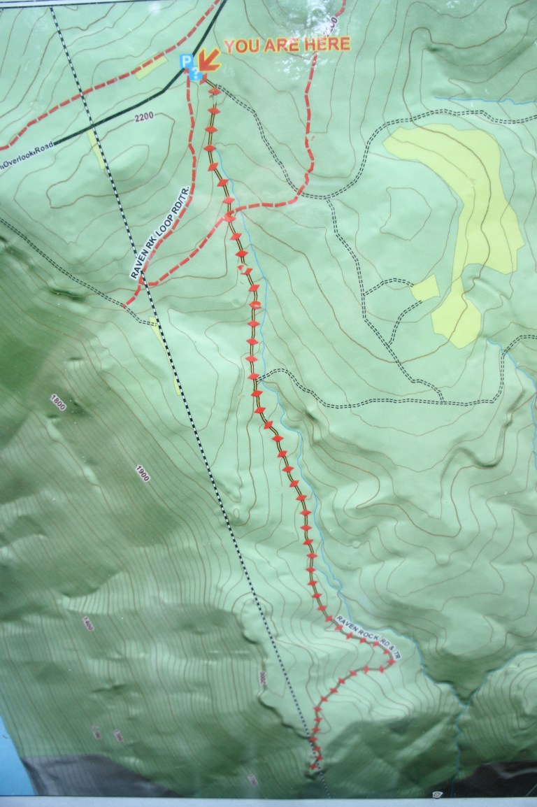 Raven Rock Trail (Coopers Rock State Forest, WV) – Live and Let Hike