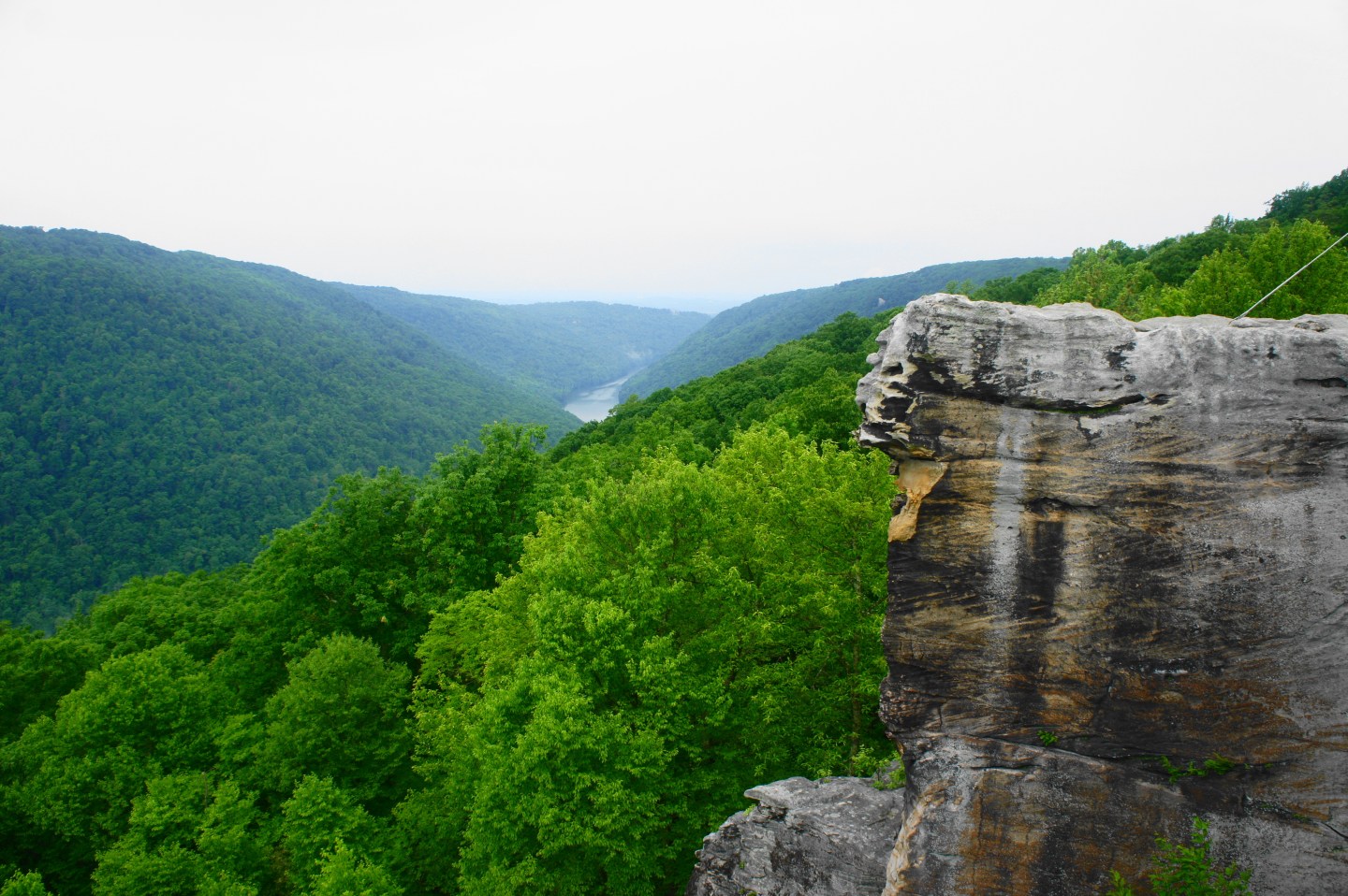 Raven Rock Trail (Coopers Rock State Forest, WV) – Live and Let Hike