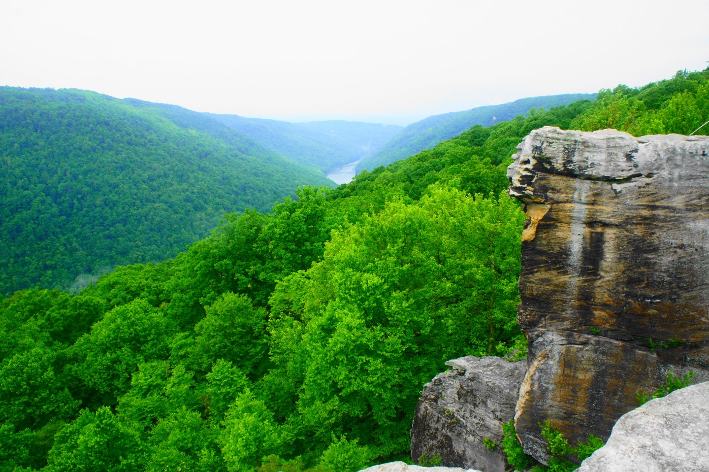 Raven Rock Trail (Coopers Rock State Forest, WV) – Live and Let Hike