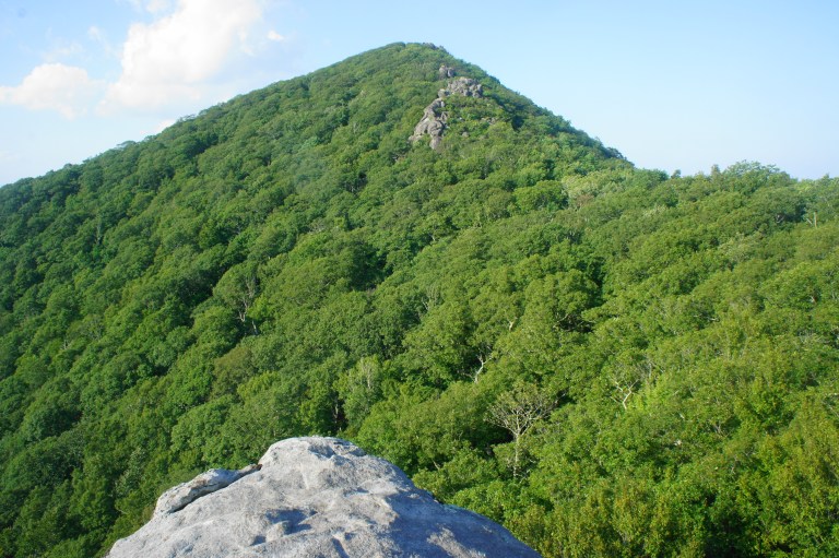 Sharp Top Trail (Jefferson National Forest, VA) – Live and Let Hike