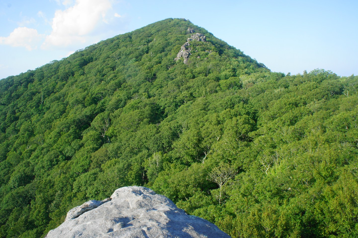 Sharp Top Trail (Jefferson National Forest, VA) – Live and Let Hike
