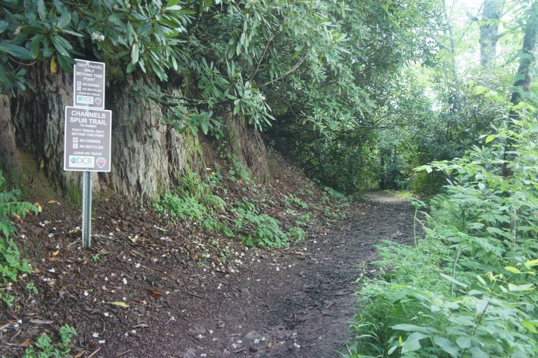The Channels via Brumley Mountain Trail (Jefferson National Forest, VA ...