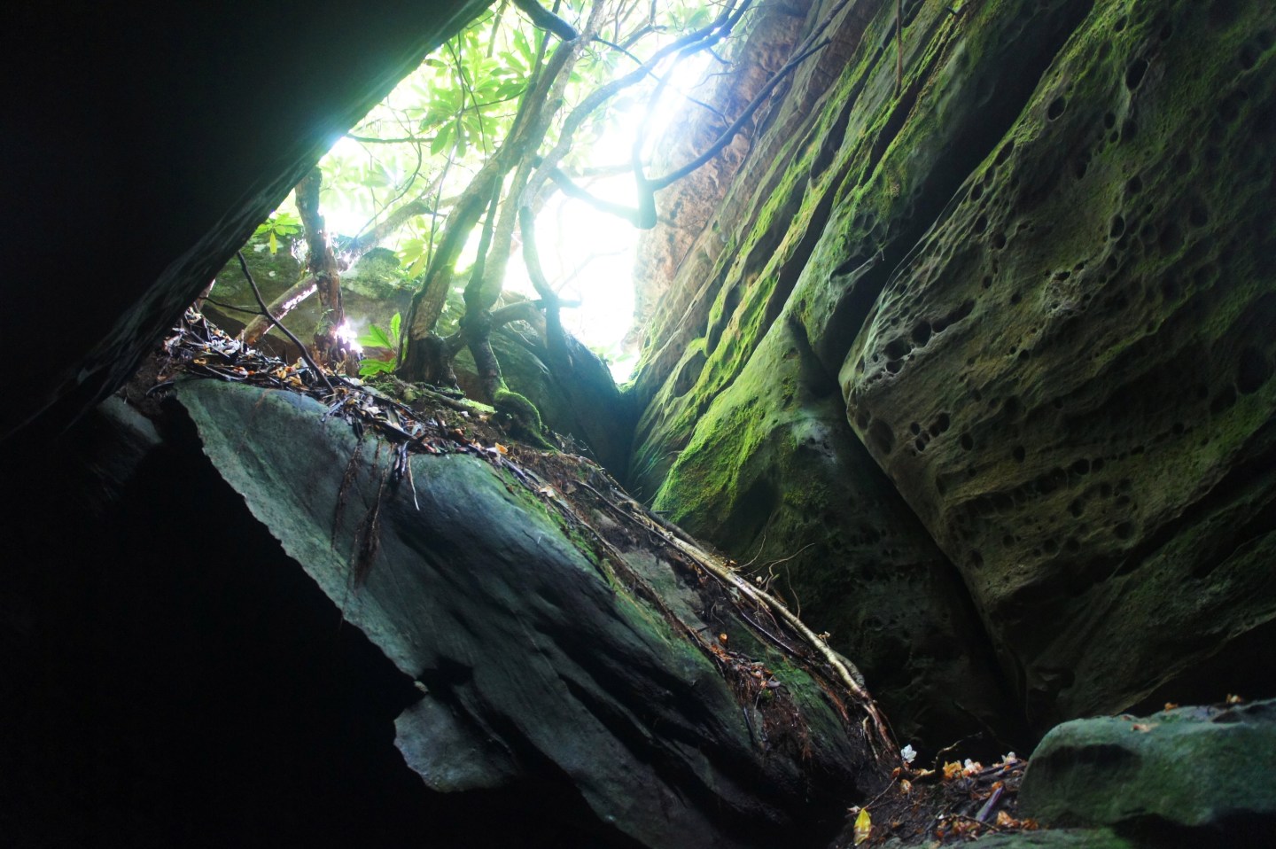 The Channels via Brumley Mountain Trail (Jefferson National Forest, VA ...