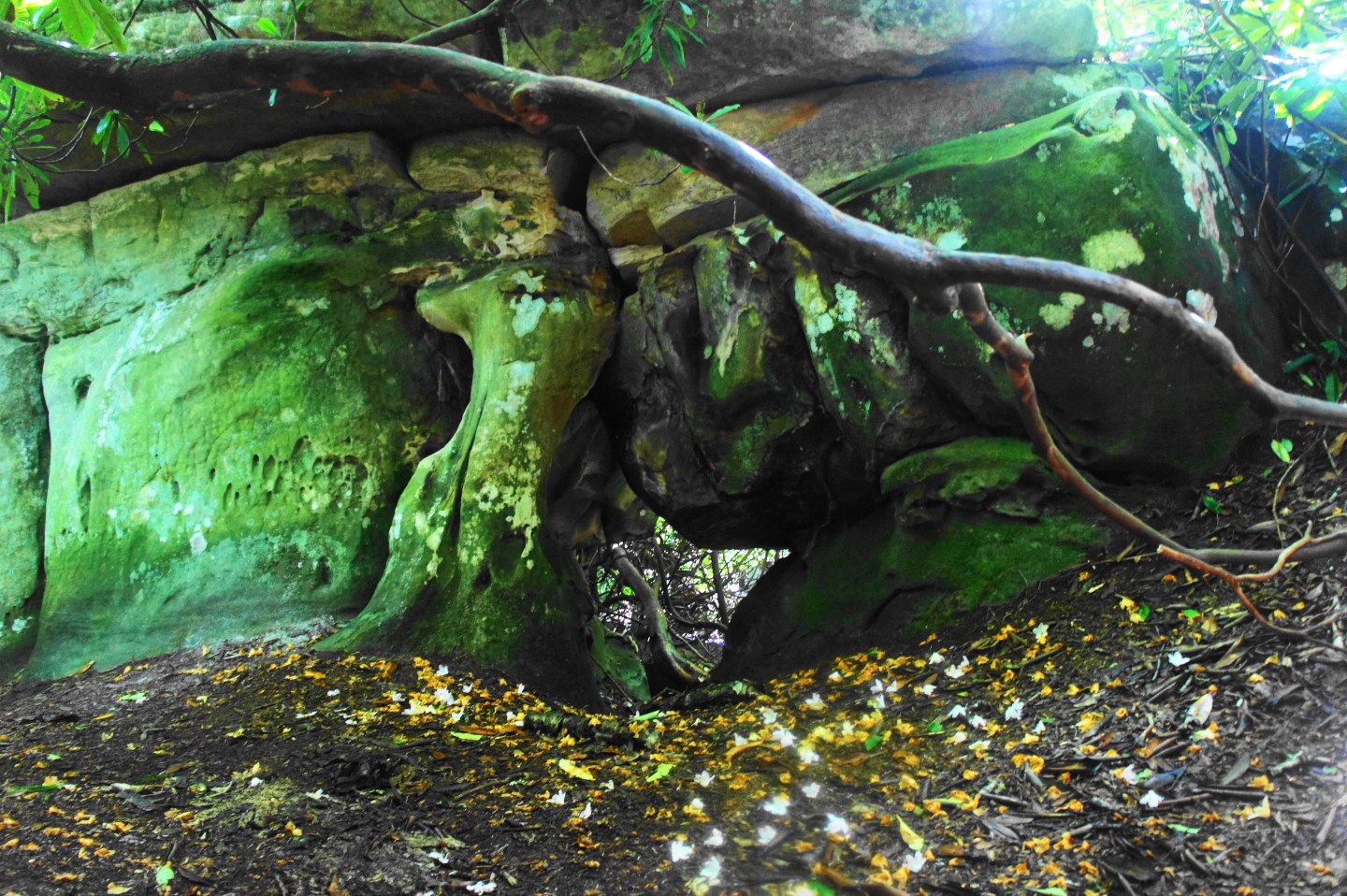 The Channels via Brumley Mountain Trail (Jefferson National Forest, VA ...