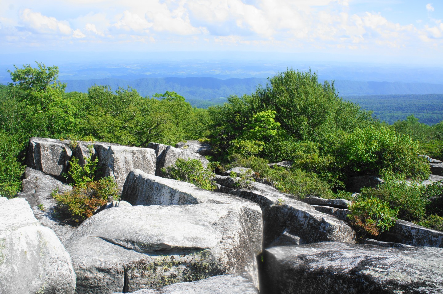 The Channels via Brumley Mountain Trail (Jefferson National Forest, VA ...