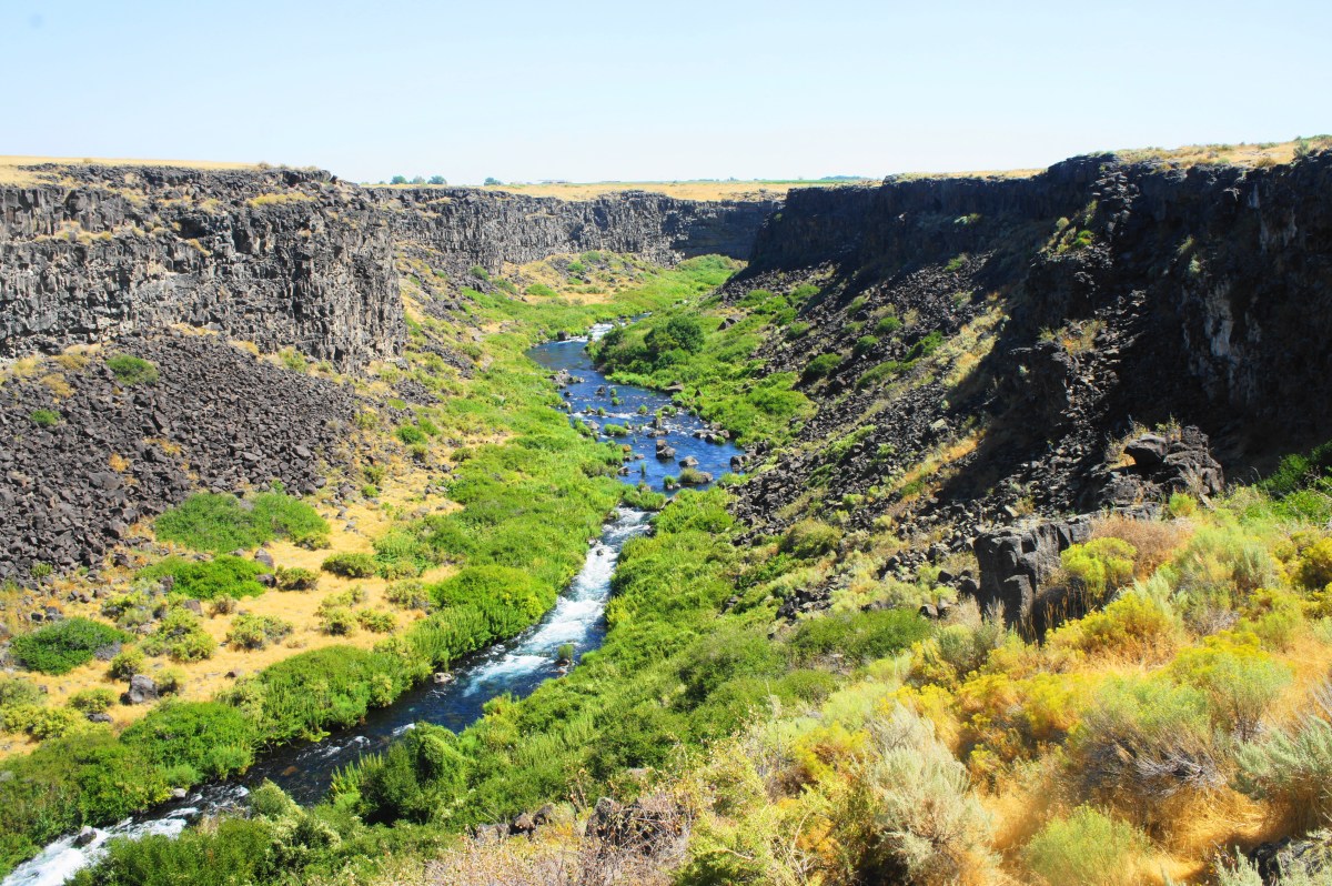 Box Canyon Springs (Thousand Springs State Park, ID) – Live and Let Hike