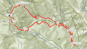 Ben Johnson-Bootjack Trail Loop (Muir Woods National Monument, CA ...