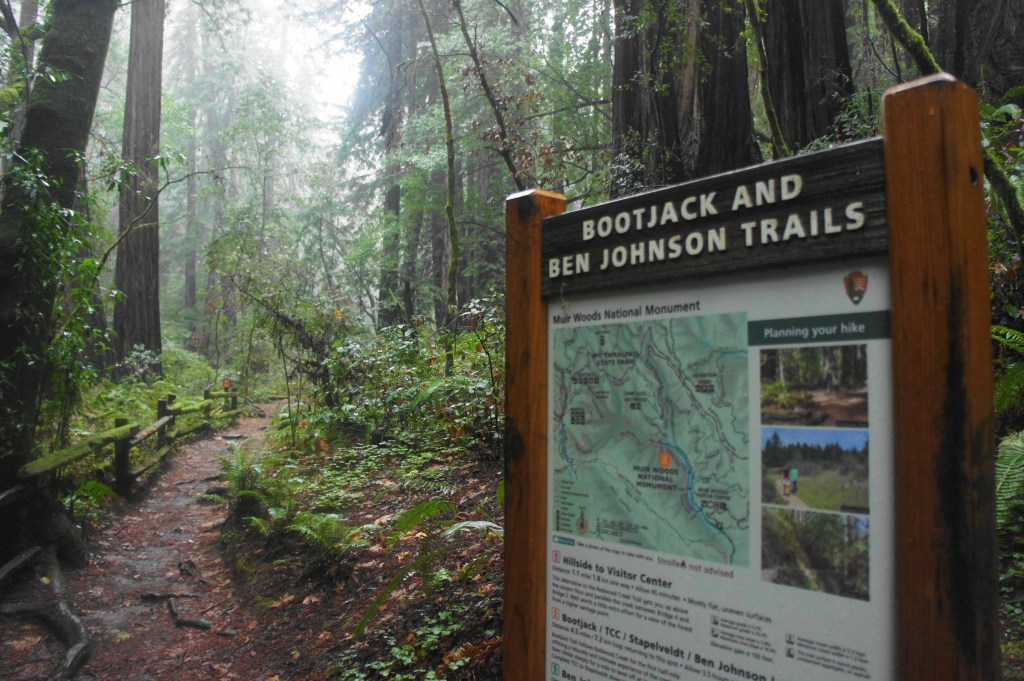 Ben Johnson-Bootjack Trail Loop (Muir Woods National Monument, CA ...